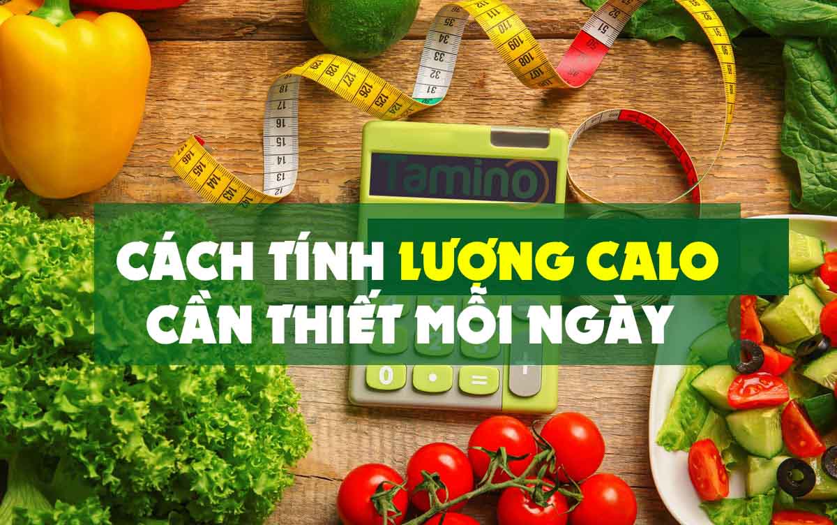 Cách đếm tính calo cho mỗi bữa tập hằng ngày để kiểm soát calo in out